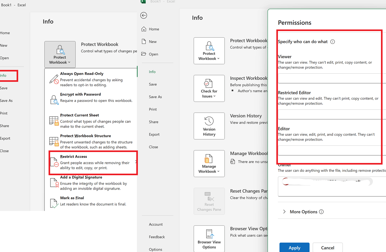 Why am I not getting the restricted access option in excel in my PC? - Microsoft Q&A