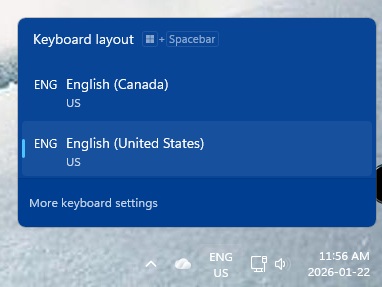 Remove Keyboard Selection Option From My Desktop - Microsoft Q&A