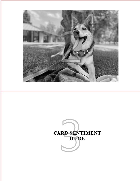 Publisher not printing greeting cards properly - Microsoft Q&A