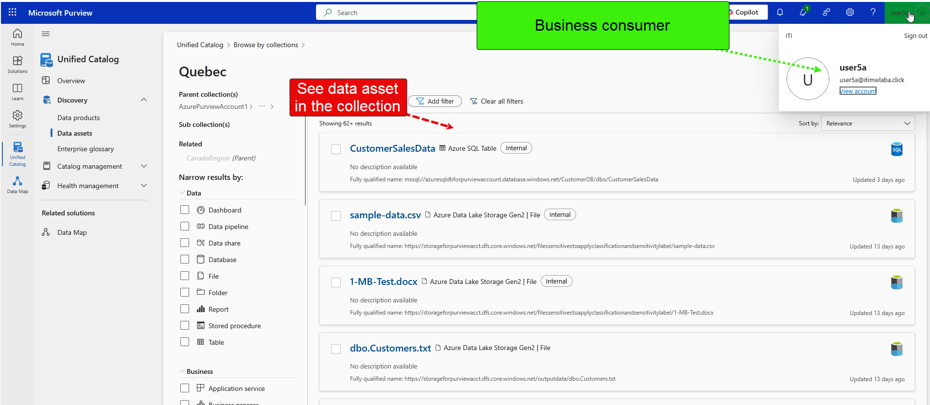 Purview Data Governance: Grant access to business consumers (regular users) to search in Unified ...