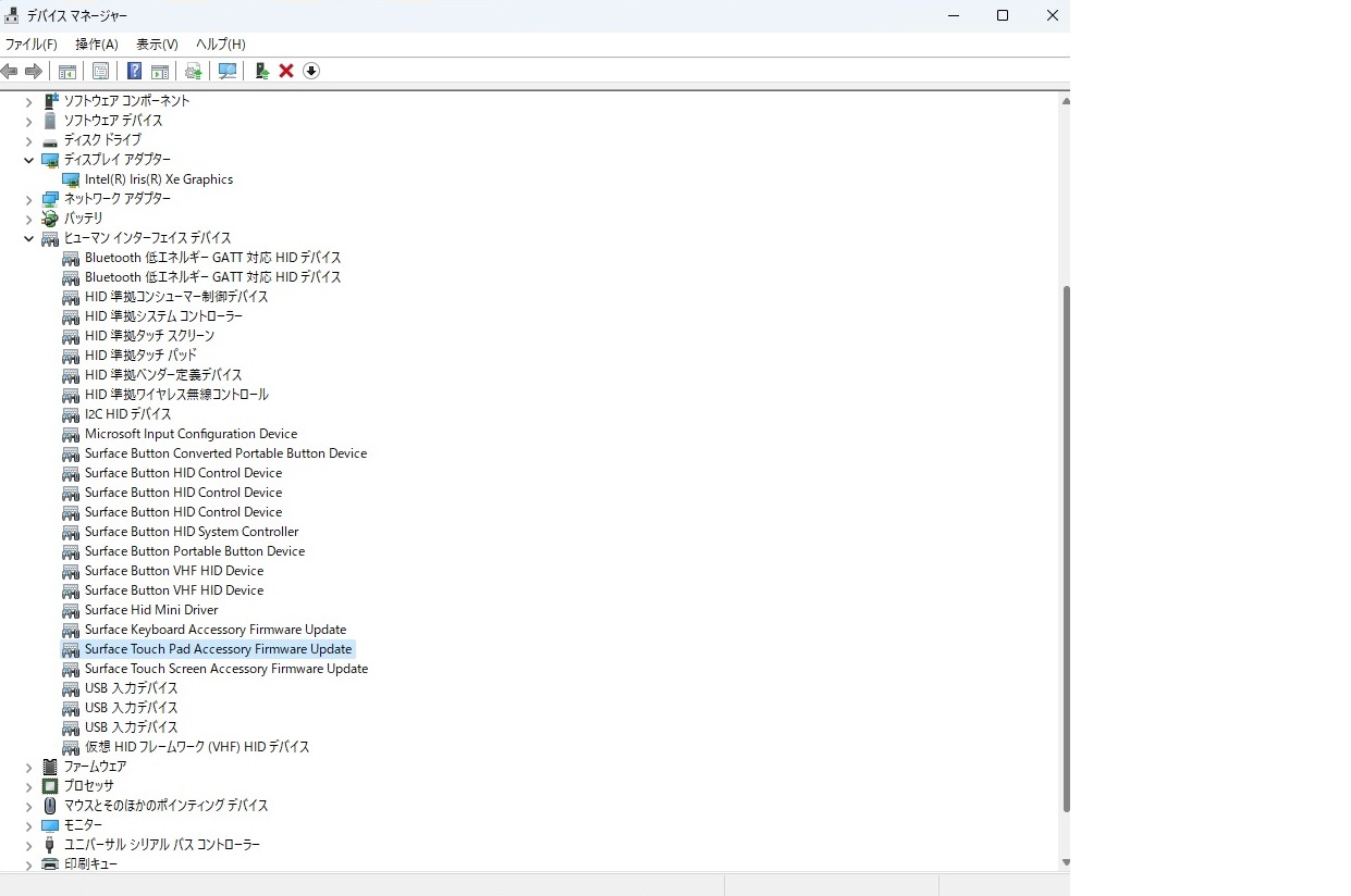 HID準拠タッチペンドライバが表示されない - Microsoft Q&A