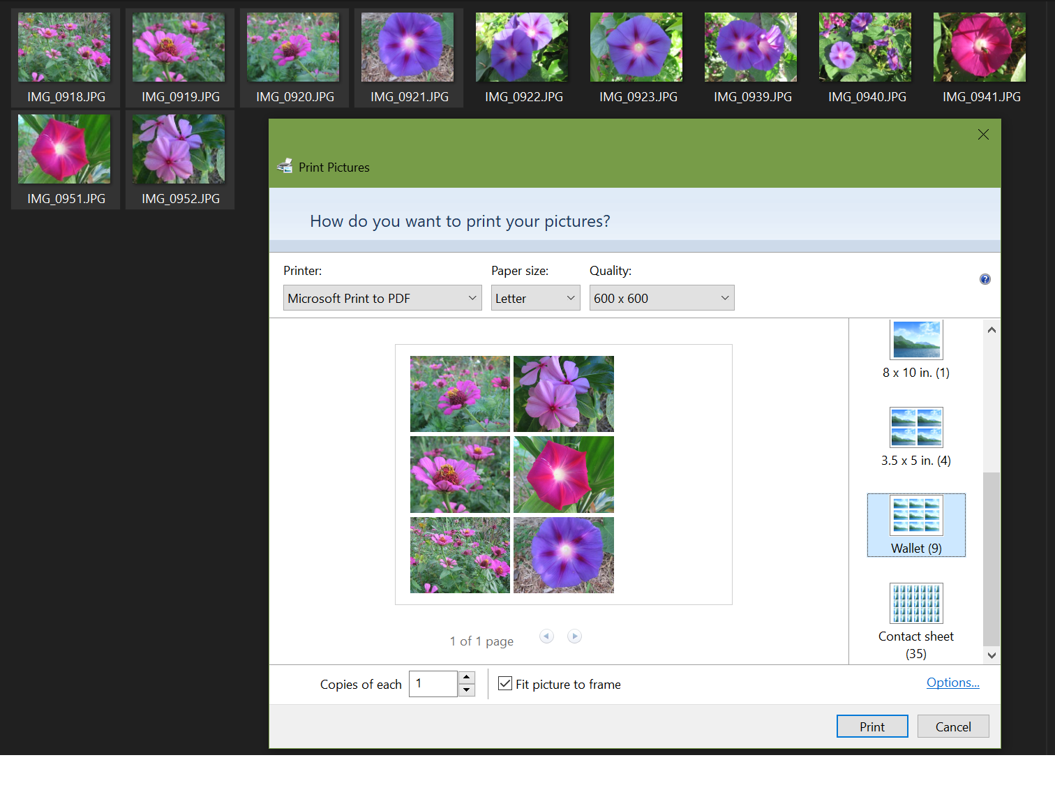 How do I print multiple photos on a single sheet in Windows 10 ...