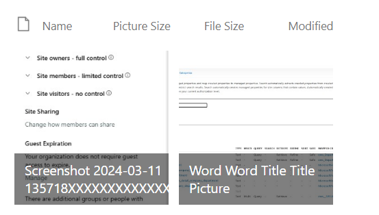 Picture Library on SharePoint 2019 on Prem classic site has title ...