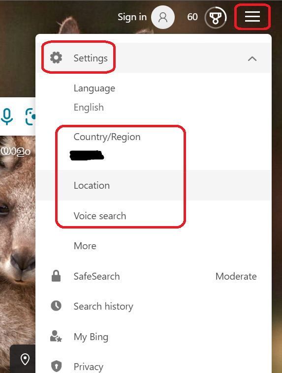 "Your country or region requires a strict Bing SafeSearch setting ...