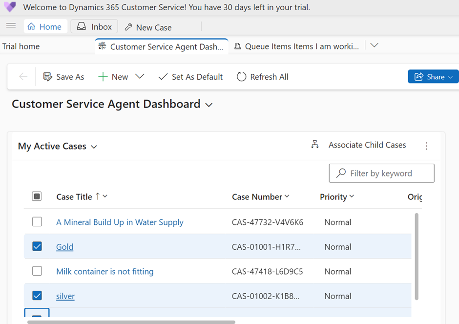 Unable to access the Service Management Area in Customer Service Hub ...