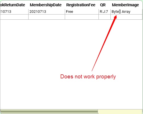 Retrieving Image From Binary Data Ole Object Access Database And Display It In Datagrid