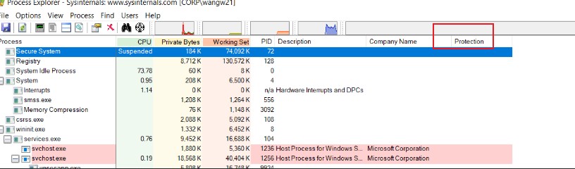 PPL process viewer - Microsoft Q&A
