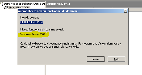 Verification of replica failed. The forest functional level is Windows 2000. To install a ...