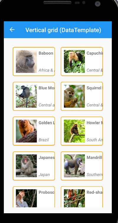 Display Cards in Xamarin Forms - Microsoft Q&A