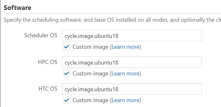 Slurm setting up using costum image - Microsoft Q&A