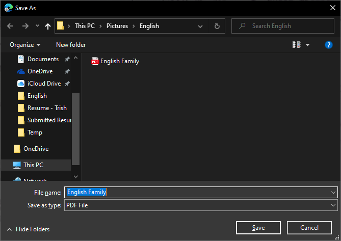 Save As + Browse Dialog Box - Microsoft Q&A
