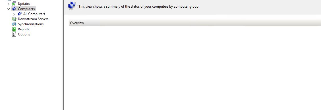 WSUS Computers node not showing items - Microsoft Q&A