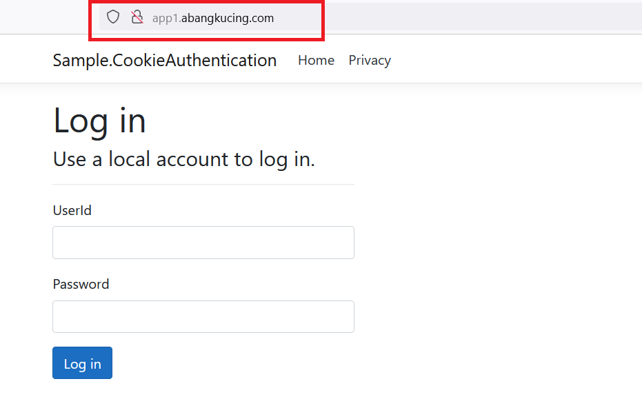 Cookie Authentication, then access this Cookie Authentication in ...