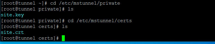 Resume Microsoft Tunnel Setup not possible - Microsoft Q&A Resume Microsoft Tunnel Setup not possible - Microsoft Q&A