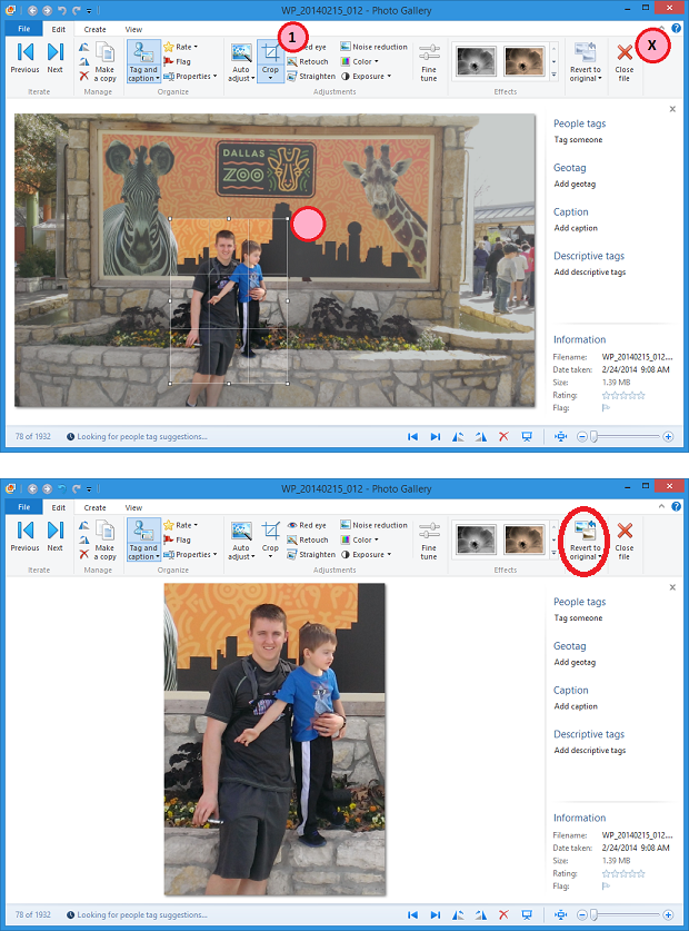 Paint-Crop image - Microsoft Q&A