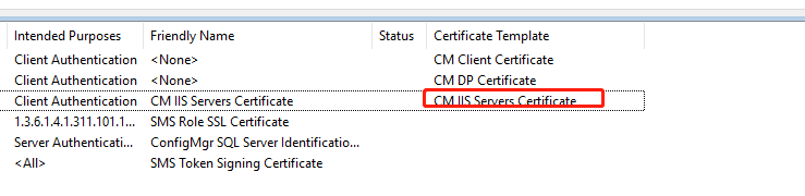IIS HTTPS can't see enrolled certificate for https binding - Microsoft Q&A
