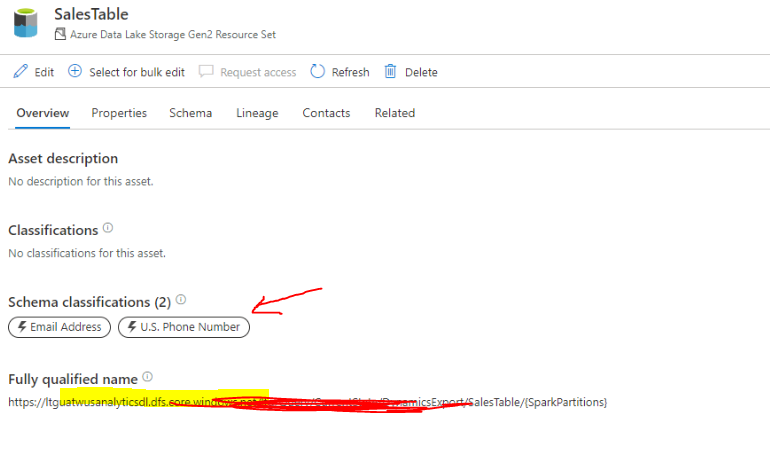 Is there a way to extract purview schema classifications using existing packages? - Microsoft Q&A