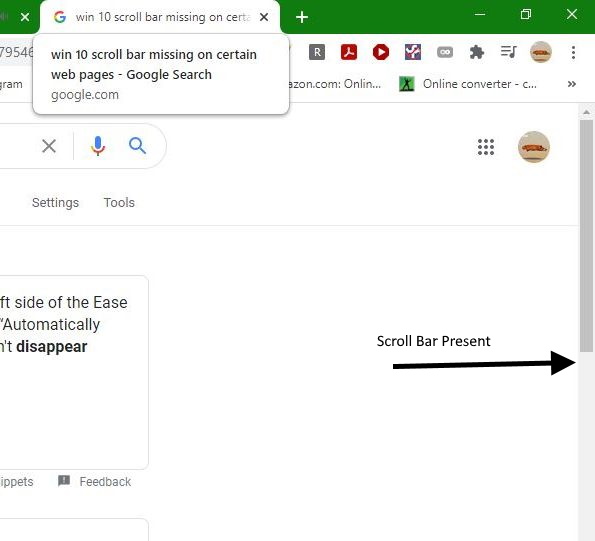 Vertical Scroll Bar Disappears - Microsoft Q&A