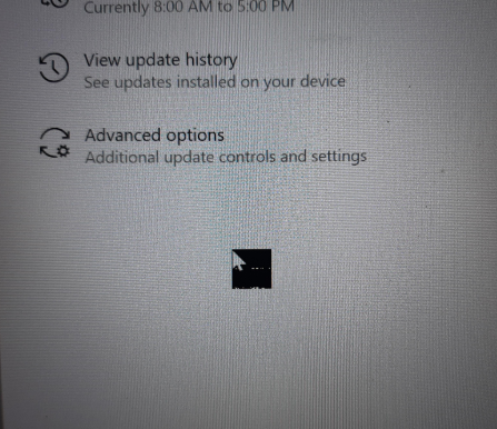 Black Box around mouse cursor - Microsoft Q&A