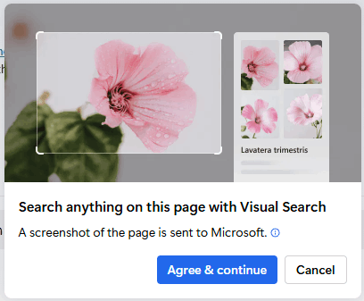 Need a way to turn off the alt+shift+s shortcut for Visual Search ...