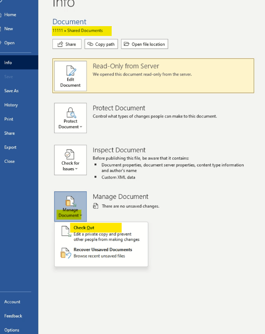 Sharepoint and File Explorer - Microsoft Q&A