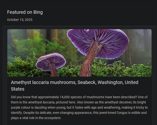 How to know where Bing Image of the Day was taken - Microsoft Q&A