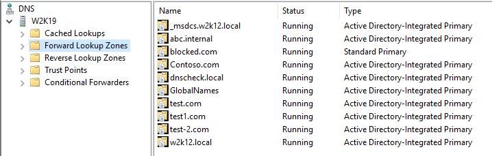 DNS Multi domain in one forest - Microsoft Q&A