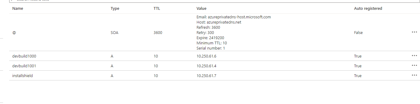 Unable to ping machines connected with private dns zone, how to fix that? - Microsoft Q&A