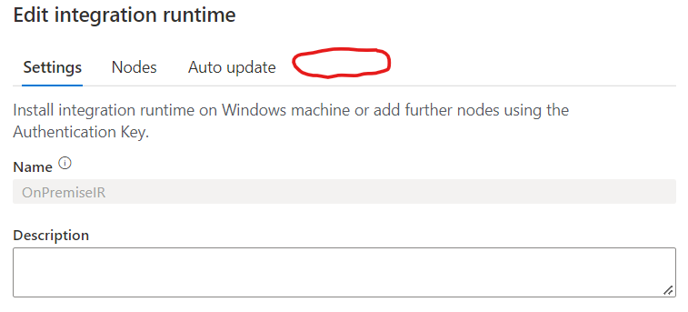 Sharing Tab Not Available For Self Hosted Azure Synapse Integration 4379