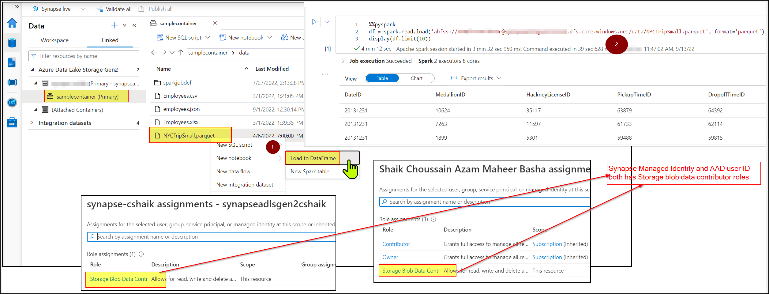 Query a piquet file while loading it into a new Data Frame (new Notebook) - Microsoft Q&A