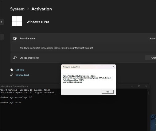 Is WIN 10 RTM Professional Retail or Pro 11 ? - Microsoft Q&A