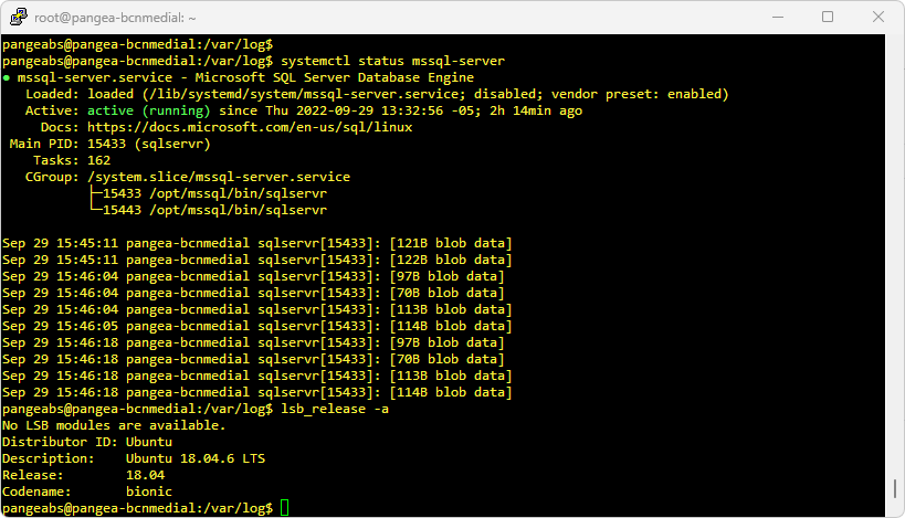 Installing Mssql Server In Ubuntu Getting Version `glibc230 Not Found Error Microsoft Qanda