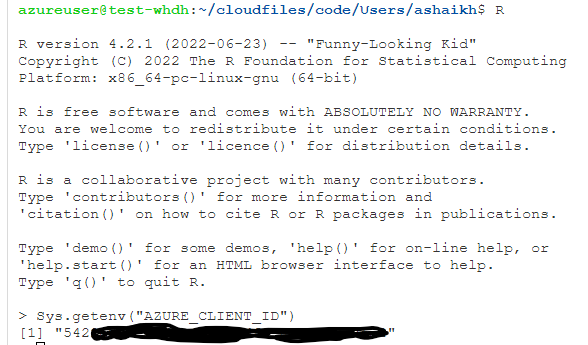 Not able to read variable in custom RStudio open-source application , Azure ML - Microsoft Q&A