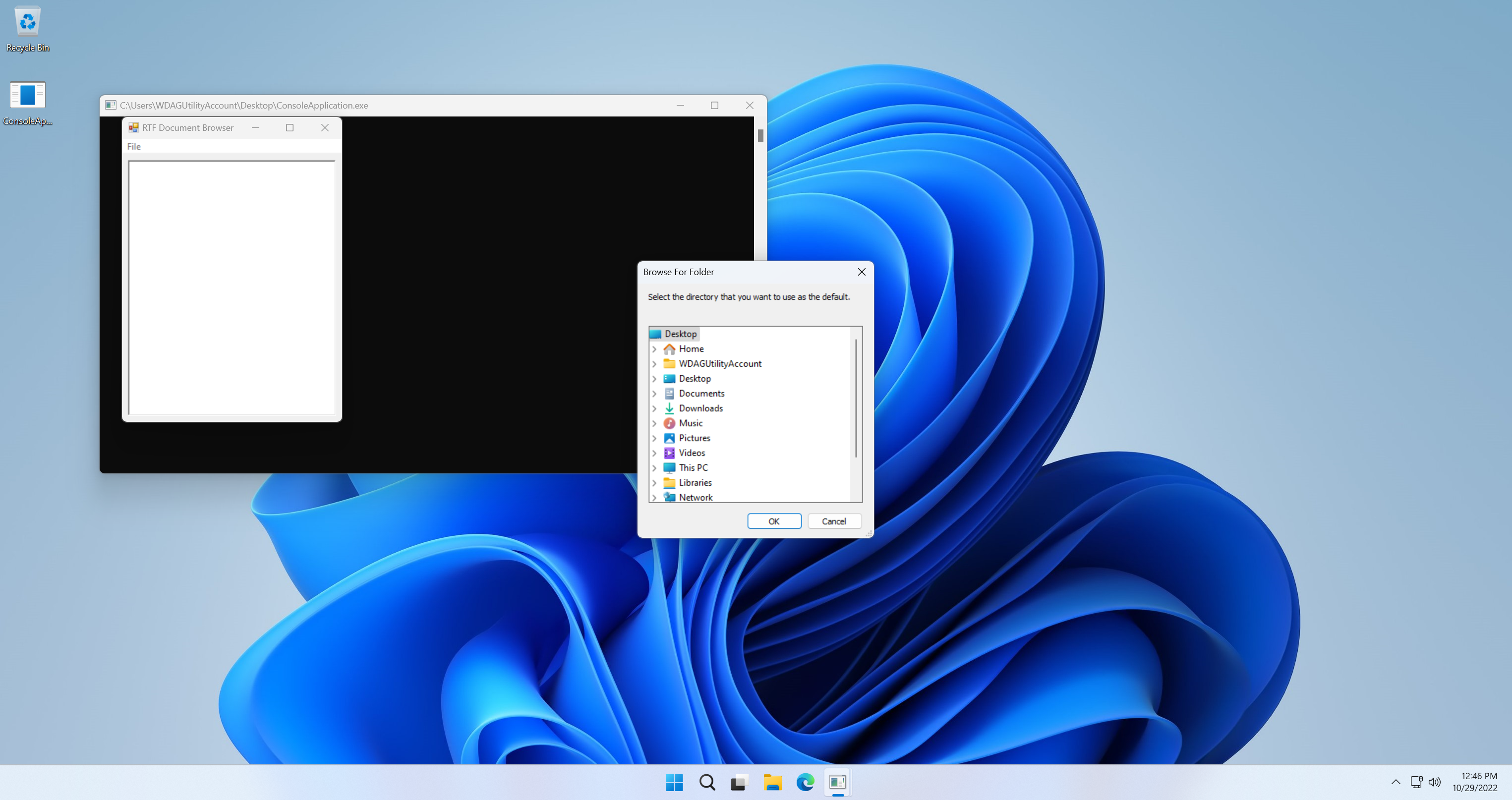 Issues with an old .NET application and Windows 11 - Microsoft Q&A