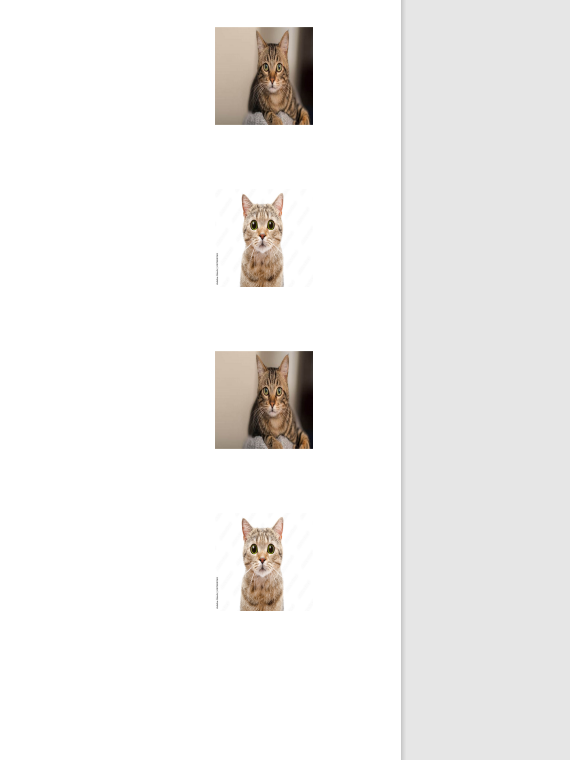 Print All Data In Datagridview Including Image Using Printdocument In C Microsoft Qanda 1066