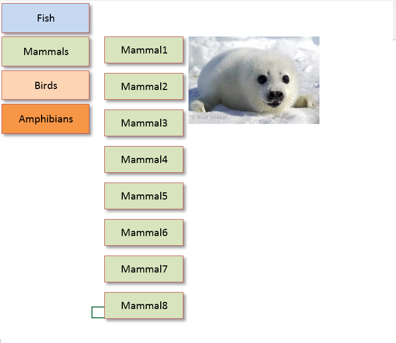 Biologist, need help making interactive animal kingdom tool in excel ...