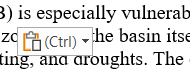 After Pasting, Copy icon stays on page - Microsoft Q&A