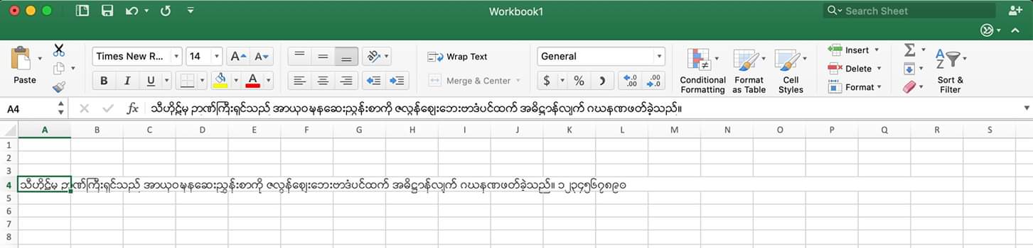 Myanmar (Burmese) Unicode Character not supported on Excel (macOS ...