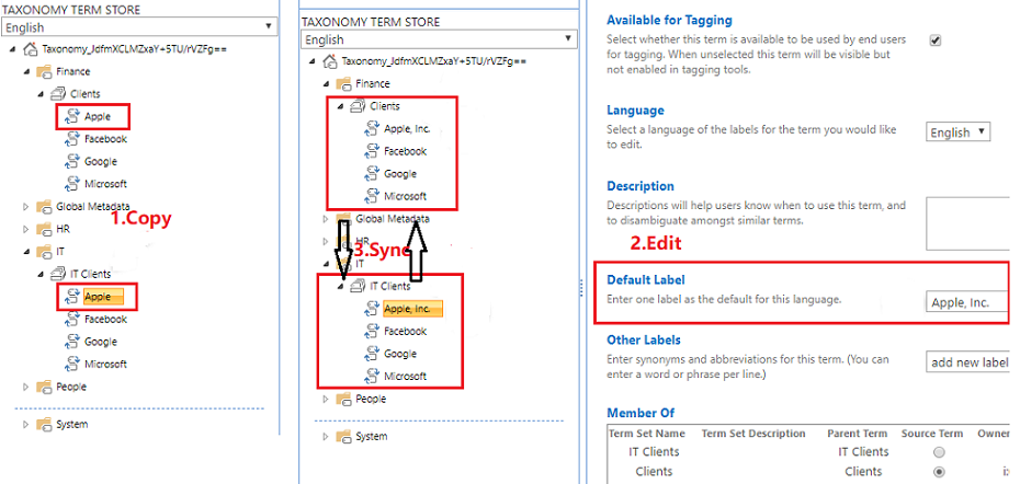 O365 Term Store Name Keeps Changing - Microsoft Q&A