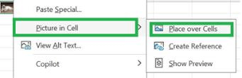 Place in Cells and Place over Cells icon when selecting an image ...