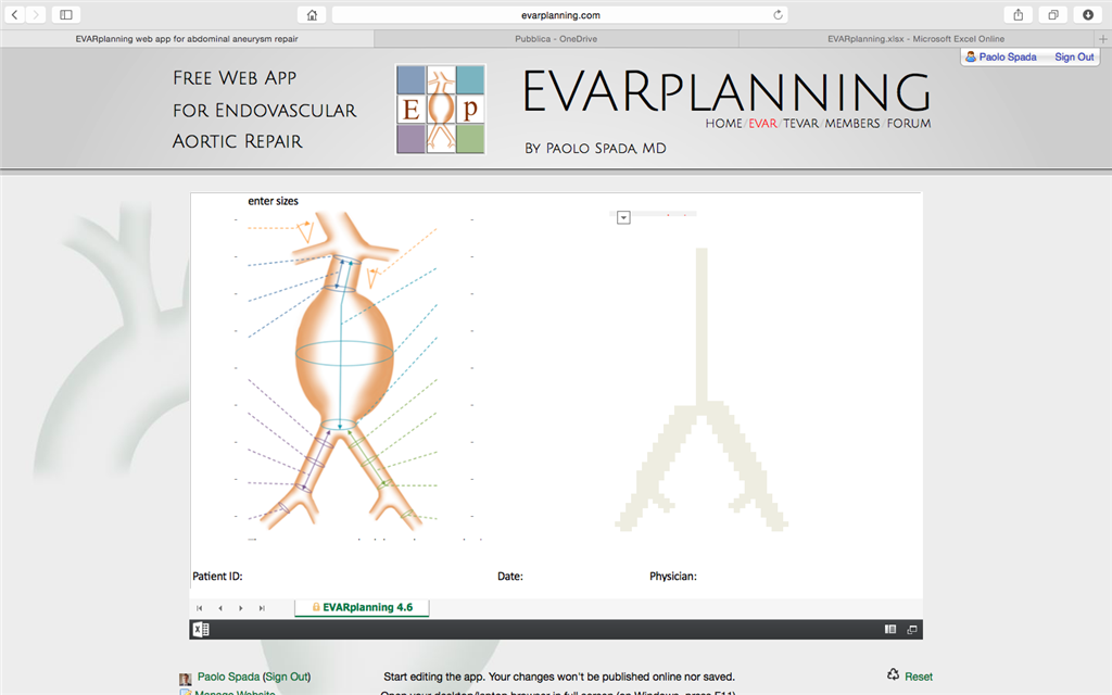 Why sometimes my Excel web app is not displayed correctly? - Microsoft Q&A