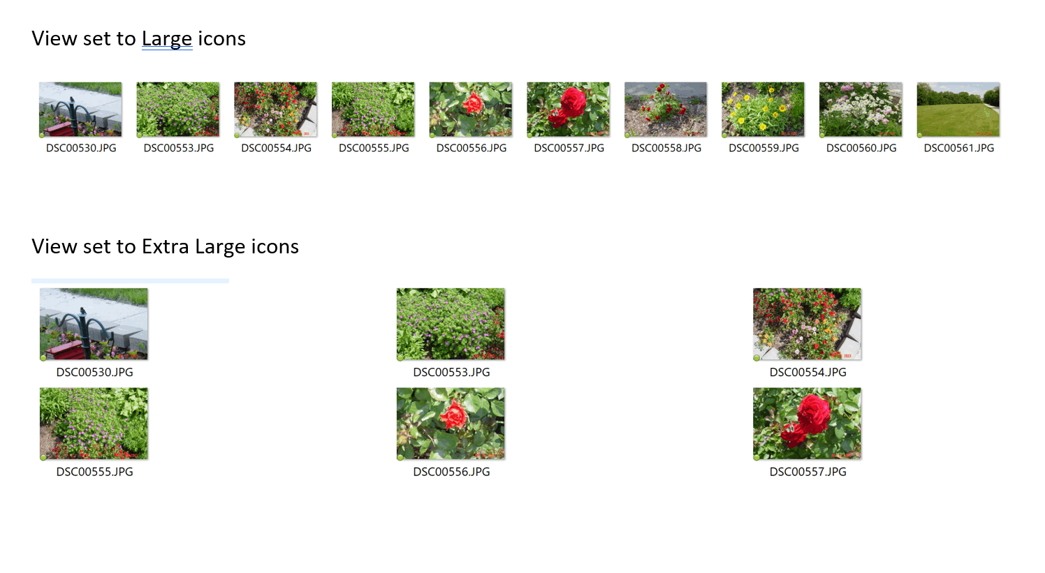 make Windows 11 photo thumbnails larger than extra large in file ...