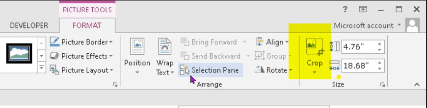 Large Margins round graphic in Word 2016 - Microsoft Q&A