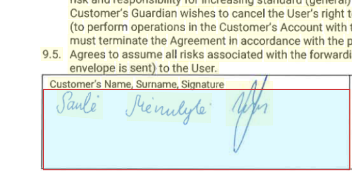How to correctly label a signature, if that signature includes Name ...