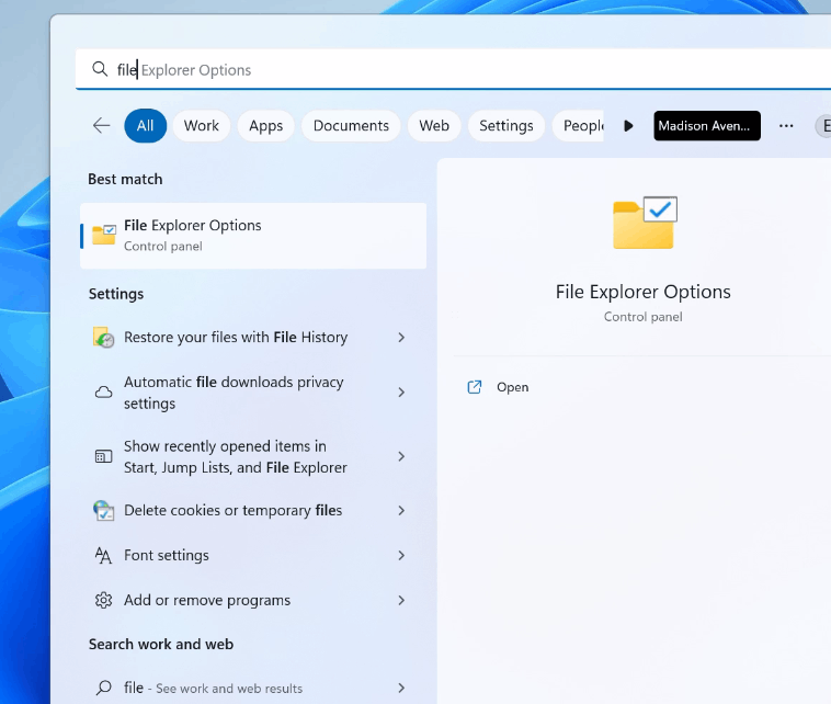 Only 'File explorer options' shows up when trying to open file explorer ...