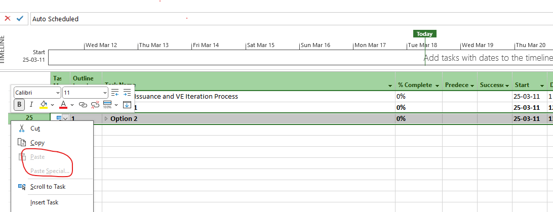 MS Project Issue - Can't Copy Paste - Microsoft Q&A