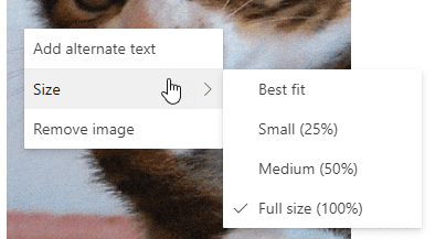 New Outlook: How to add border or set specific dimensions after ...