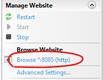 asp.net web api not working in iis - Microsoft Q&A