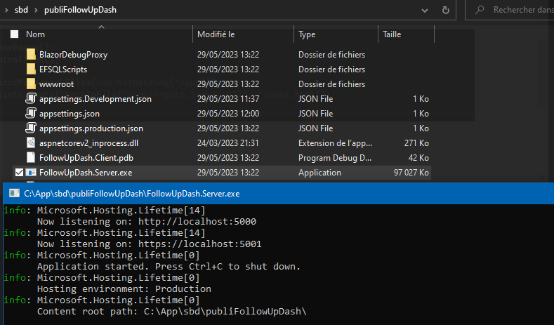 How Hosting And Deploying My Application In Folder Microsoft Qanda