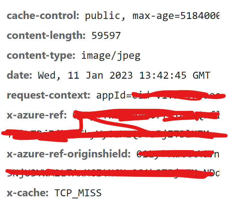 Azure CDN with Microsoft is not providing any expired headers or ways ...